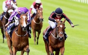 Using Horse Racing Tips Helps Punters Betting Online Win.